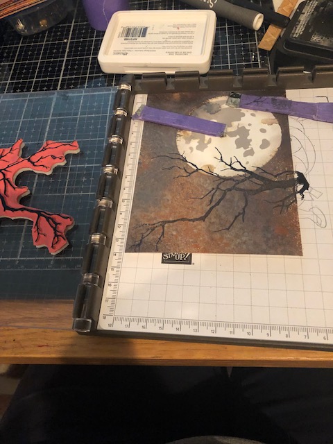 The Raven – Crafty Coyote